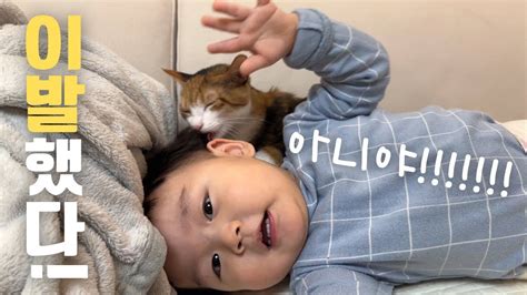 땡깡이 시작된 16개월 아기와 키튼 사료 탐내는 어른 고양이 짐보리 등록 자석스티커 아기 이발 Youtube