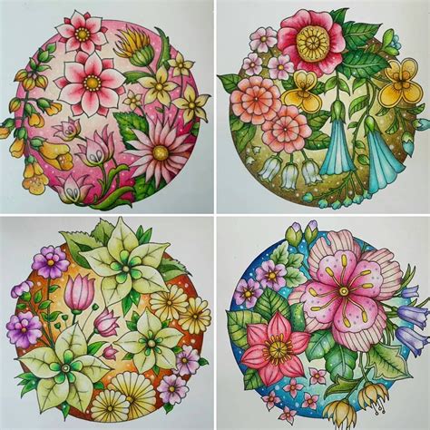 🌹 꽃의세계컬러링북 조해너배스포드 모아놓으니까 더 이뻐보이는 효과 ♡♡♡ 컬러링제이 💕 Kleurpotlood Kunst Kleuren