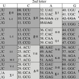The Table Of The Standard Genetic Code Download Scientific Diagram