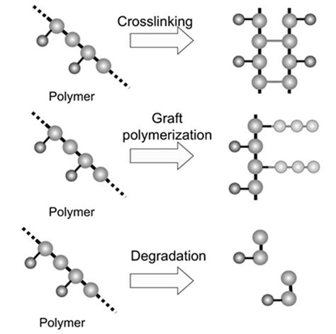 2 Major Modification Of Polymers Using Radiation Processing Download Scientific Diagram