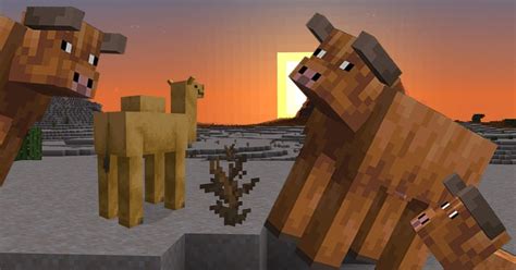 Minecrafts Latest Public Testing Update Adds New Cow Variants