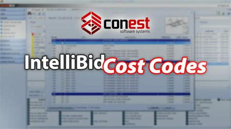 cost codes in intellibid conest software systems
