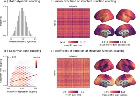 Dynamic Structure Function Coupling A Correlations Between Regional