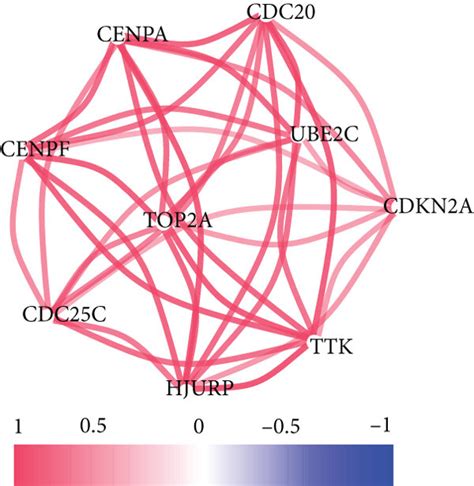 A List Of Possible Ddr Related Genes Identified In The Tcga Cohort