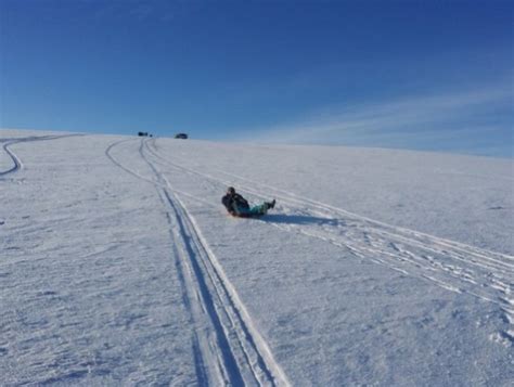 Танилц Цана чаргаар гулгахдаа анхаарах зүйлс
