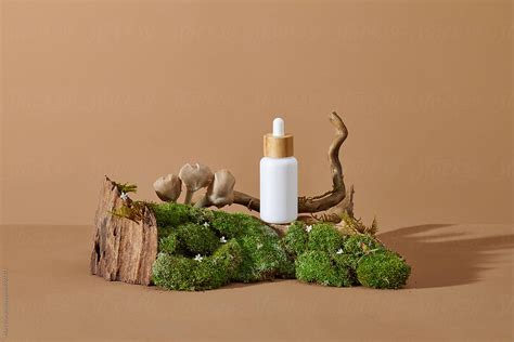 Composition With Bottles Of Essential Oil Tree Bark And Moss By Stocksy Contributor Marc