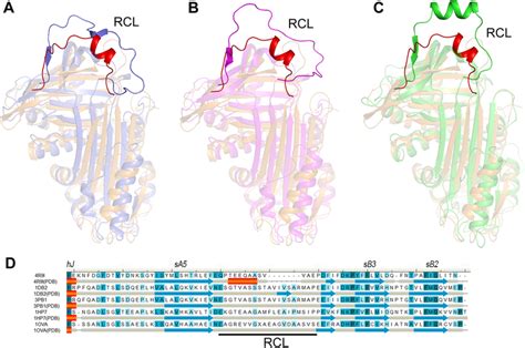 Close Up View Of RCL A Comparision Of The Overallstructure Between Download Scientific