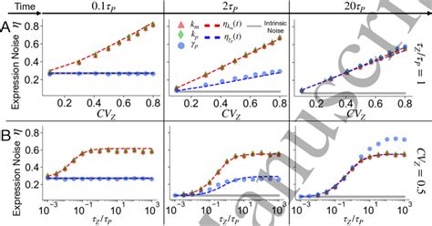 Functional Dependence Of Protein Variability On The Extrinsic Noise