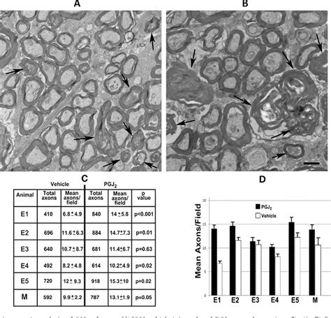 Figure 9 From Sustained Neuroprotection From A Single Intravitreal