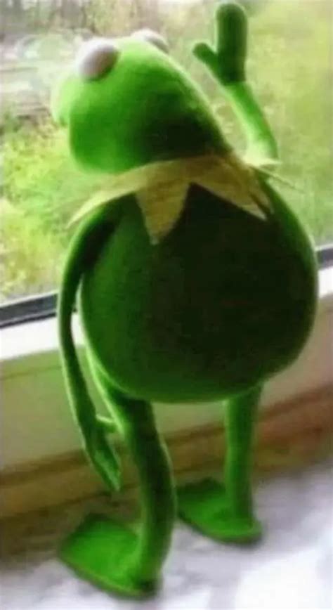Discover More Like Thicc Kermit Is Absolutely Thicc And Related