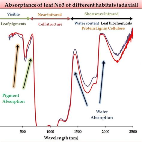 Absorptance Profile For Adaxial Leaves With Different Stem Position