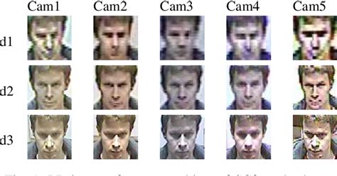 Figure 1 From Lightweight Low Resolution Face Recognition For Surveillance Applications