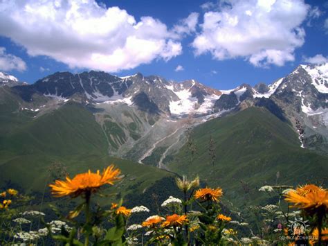 ტურიზმი საქართველოში