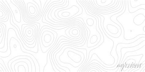 Topographic Patter Line Map Background Silver Line Topography Wall