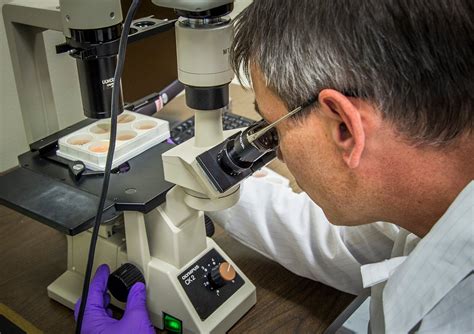 Videos Flexcell® International Corporation Videos Flexcell® International Corporation