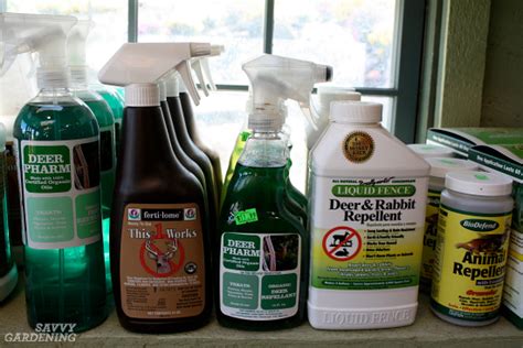 Deer Proof Gardens Sure Fire Ways To Keep Deer Out Of Your Garden