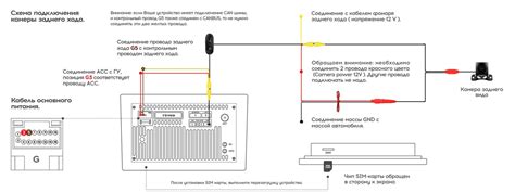 Bdsm Intimate Lips Rear View Photos Porn Photo
