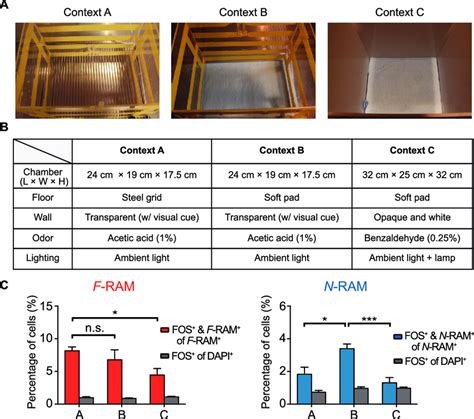 Figure S3 The Memory Discrimination Generalization Assay And The Download Scientific Diagram