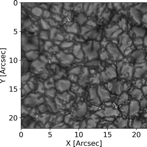 Segmentation Results With And Without The Transformer Branch The First