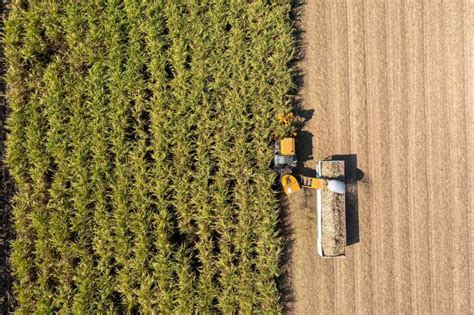 Sara Bartolini On Linkedin Bp Heralds Scaling Back Of Biofuel Projects As Q2 Profits Hit 276