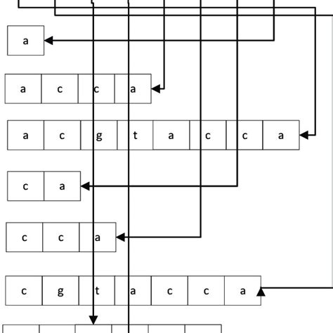 Similarities And Differences Between Sa Array And Rk Array Download
