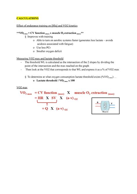 4010 Midterm 1 Lecture Notes Calculations Effect Of Endurance Training On [hla] And Vo2