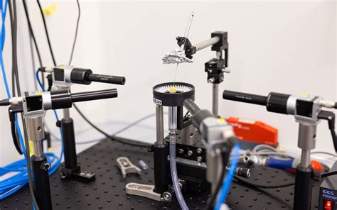 Gene Therapy To Treat Amyotrophic Lateral Sclerosis