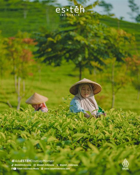 Esteh Indonesia On Linkedin Estehindonesia Adaestehdisetiapmomen