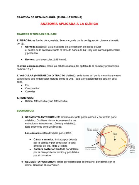 Prac OftalmologÍa 1p Descargar Gratis Pdf Córnea Ojo Humano