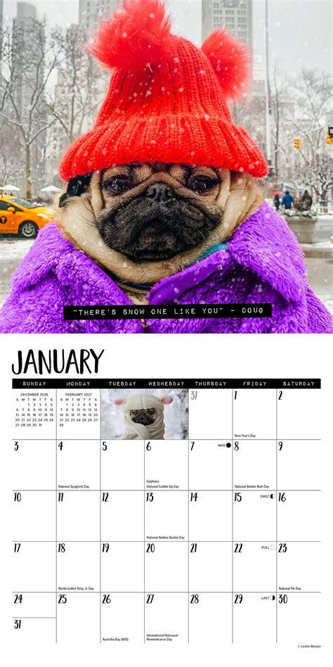 2027 Doug The Pug Mini Wall Calendar