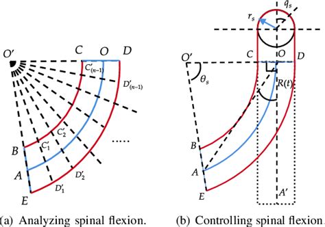Figure 2 From Enhanced Quadruped Locomotion Of A Rat Robot Based On The