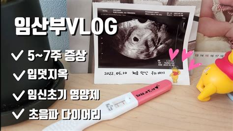 임산부브이로그 내가 임신이라니‼️☺️│임신 5~7주 일상│간호사임산부│임신초기증상│입덧시작│초음파다이어리│영양제추천