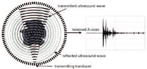 A Schematic Geometry Of The 2d Usct System Built In Forschungszentrum