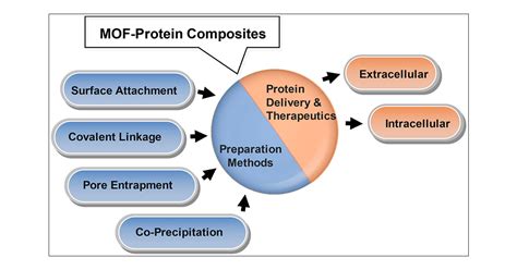Metalorganic Framework Based Composites For Protein 48 Off