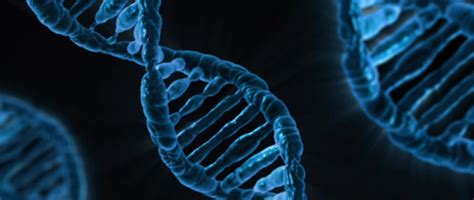 Make Mine A Double Mapping Gene Networks To Decode Function
