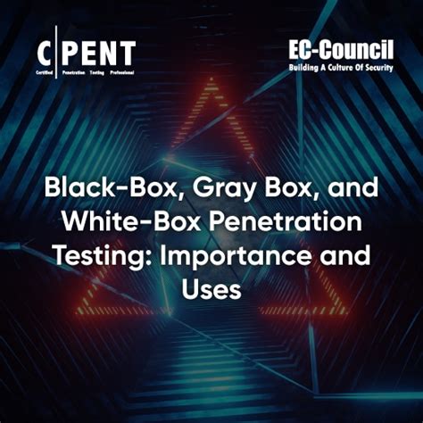 Blackbox Pentest Vs Whitebox Pentest Vs Greybox Pentest