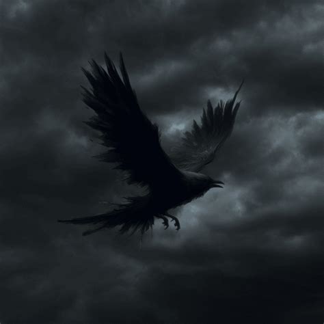 Kuba Kluza – Bluebird Lyrics | Genius Lyrics