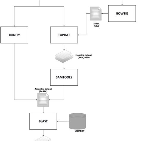 Workflow Table II Information Of Executed Workflows W Phases Data Download Scientific