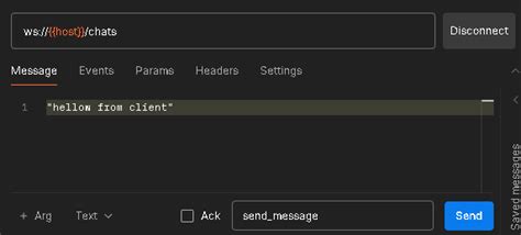 nestjs web socket basic