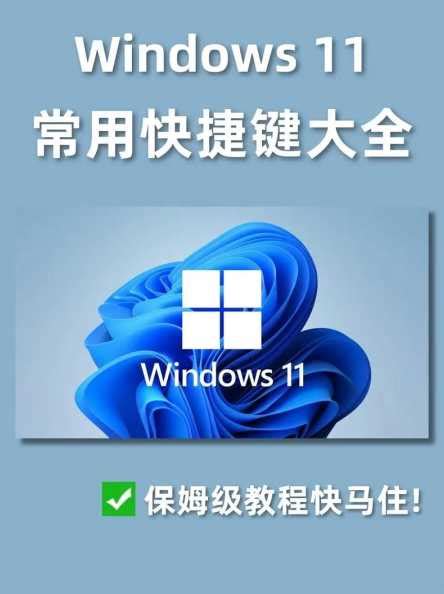 Windows 11徽标键是哪个？如何快速找到？ 4425教程网