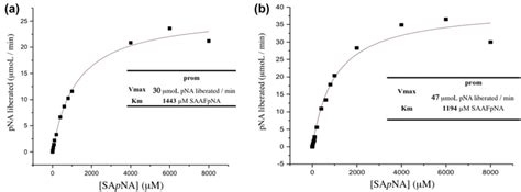 Enzyme Kinetics Of α Chymotrypsin Control And The Active Complex A