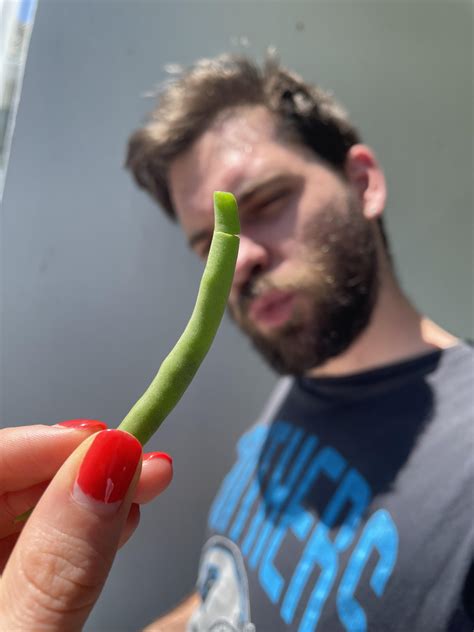 1 Single Green Bean Rmightyharvest