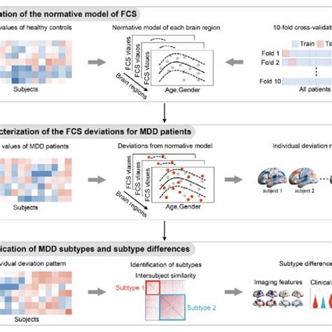 Flowchart Of Data Analysis A Estimation Of The Normative Model Of Fcs Download Scientific