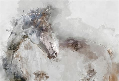 Untitled 6 Photograph By Ryan Courson Fine Art America