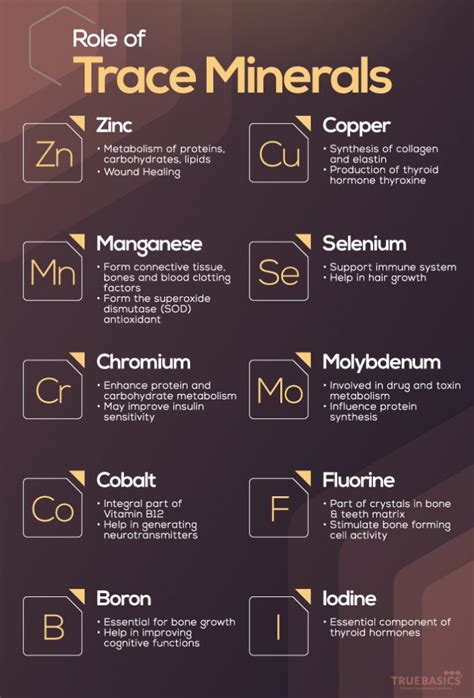 Role Of Trace Minerals In Human Body Truebasics Blog