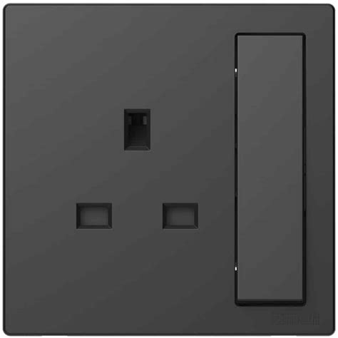 1g Bs Switched Socket Color Ecolux