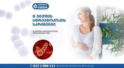 group b streptococcus screening synevo