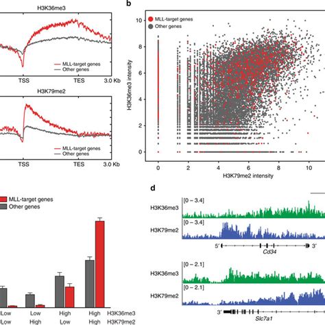 The Setd2 Set Domain Is Required For Proliferation Of Mll Leukemia Download Scientific Diagram