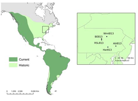 Cougar Historical Range