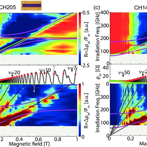 filling factor dependent photo response in the ultrastrong coupling